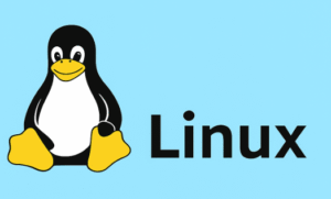 【Linux + Apache + Openssl】SSLサーバ証明書インストール（更新） | 技術のないエンジニアのIT備忘録